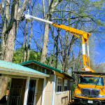 Top Notch Tree Management - Custom Metal Buildings DOT COM